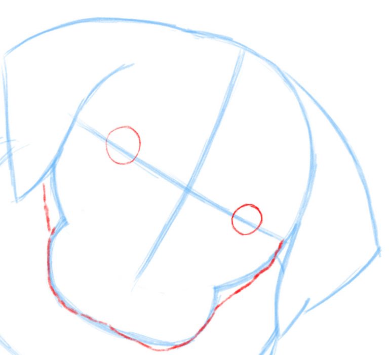 How to Draw a Dog or Puppy Realistic – Easy Step by Step Drawing Tutorial – How to Draw Step by ...