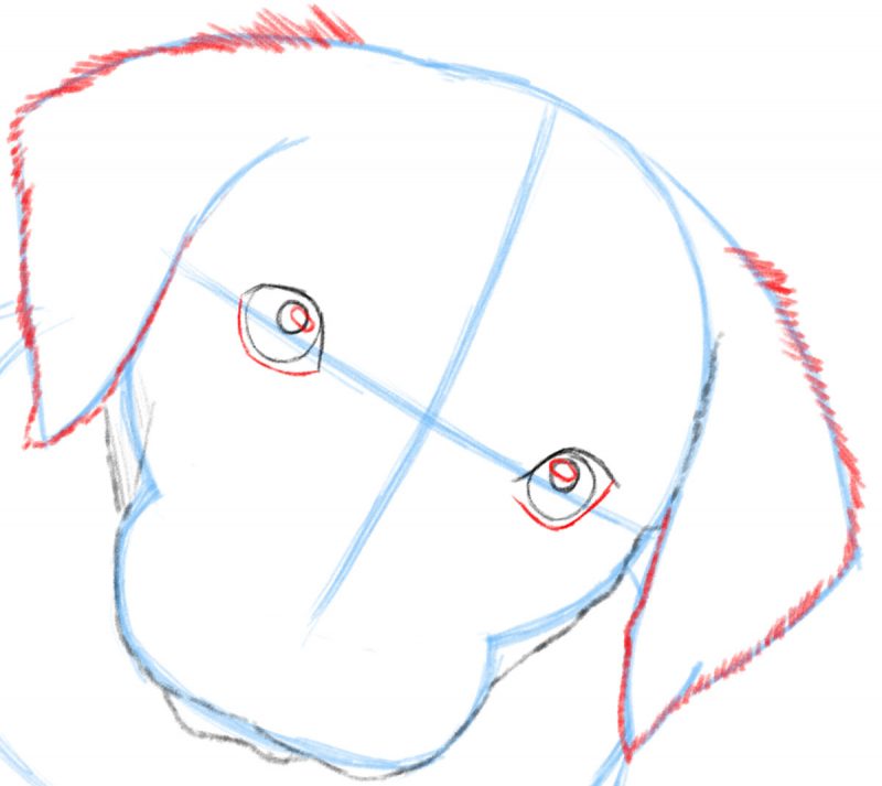 How to Draw a Dog or Puppy Realistic – Easy Step by Step Drawing Tutorial – How to Draw Step by ...