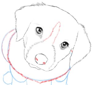 How to Draw a Dog or Puppy Realistic – Easy Step by Step Drawing ...