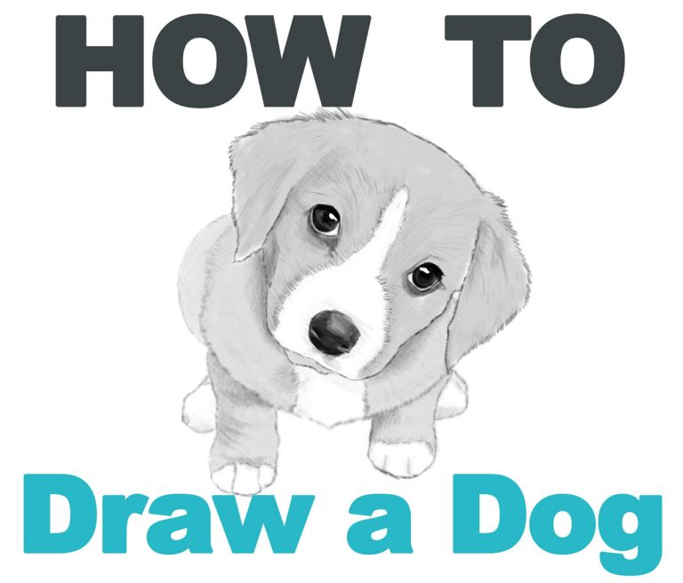 How to Draw a Dog or Puppy Realistic – Easy Step by Step Drawing ...