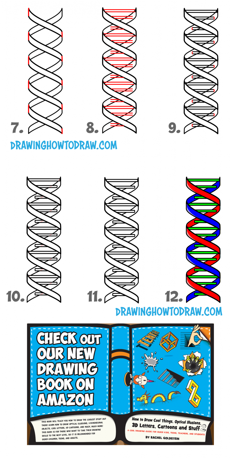 How to Draw DNA Double Helix Structure – Easy Step by Step Drawing ...