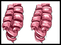 How to Draw Curly Hair and Afro Ethnic Hair: Drawing Tutorials ...